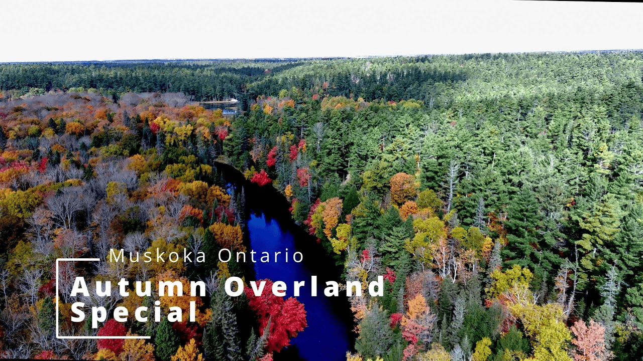 Autumn overland special. Beautiful fall colours in Northern Ontario ...